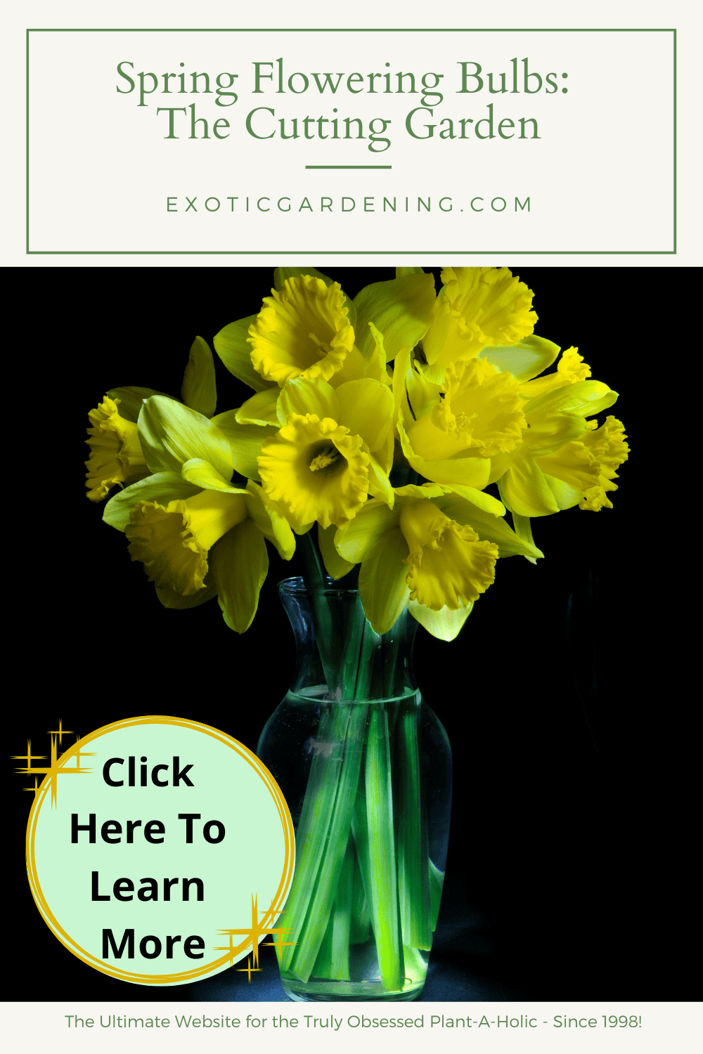 Spring Flowering Bulbs: The Cutting Garden - Exotic Gardening