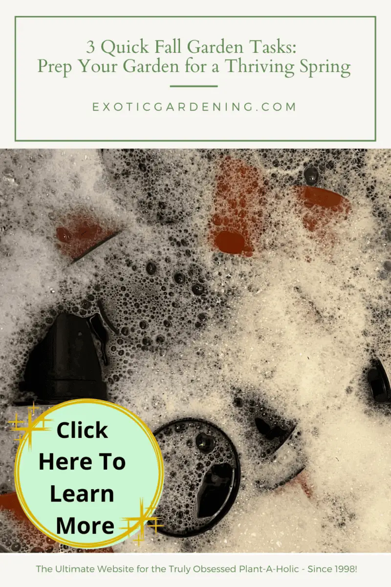 3 Quick Fall Garden Tasks: Prep Your Garden for a Thriving Spring ...