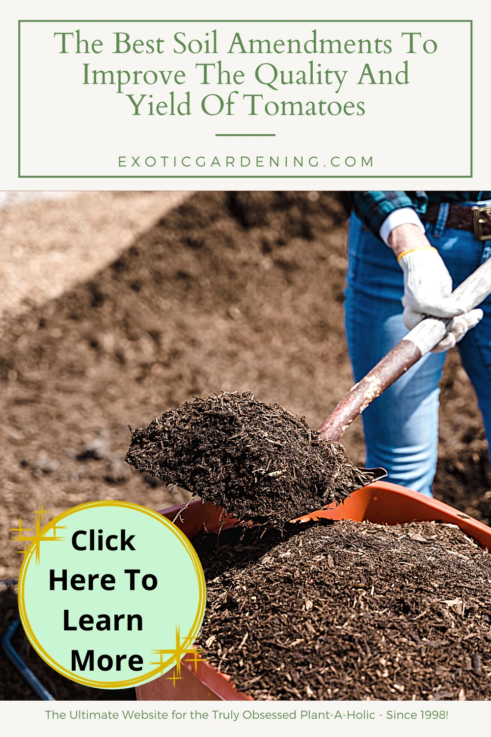 The Best Soil Amendments To Improve The Quality And Yield Of Tomatoes ...