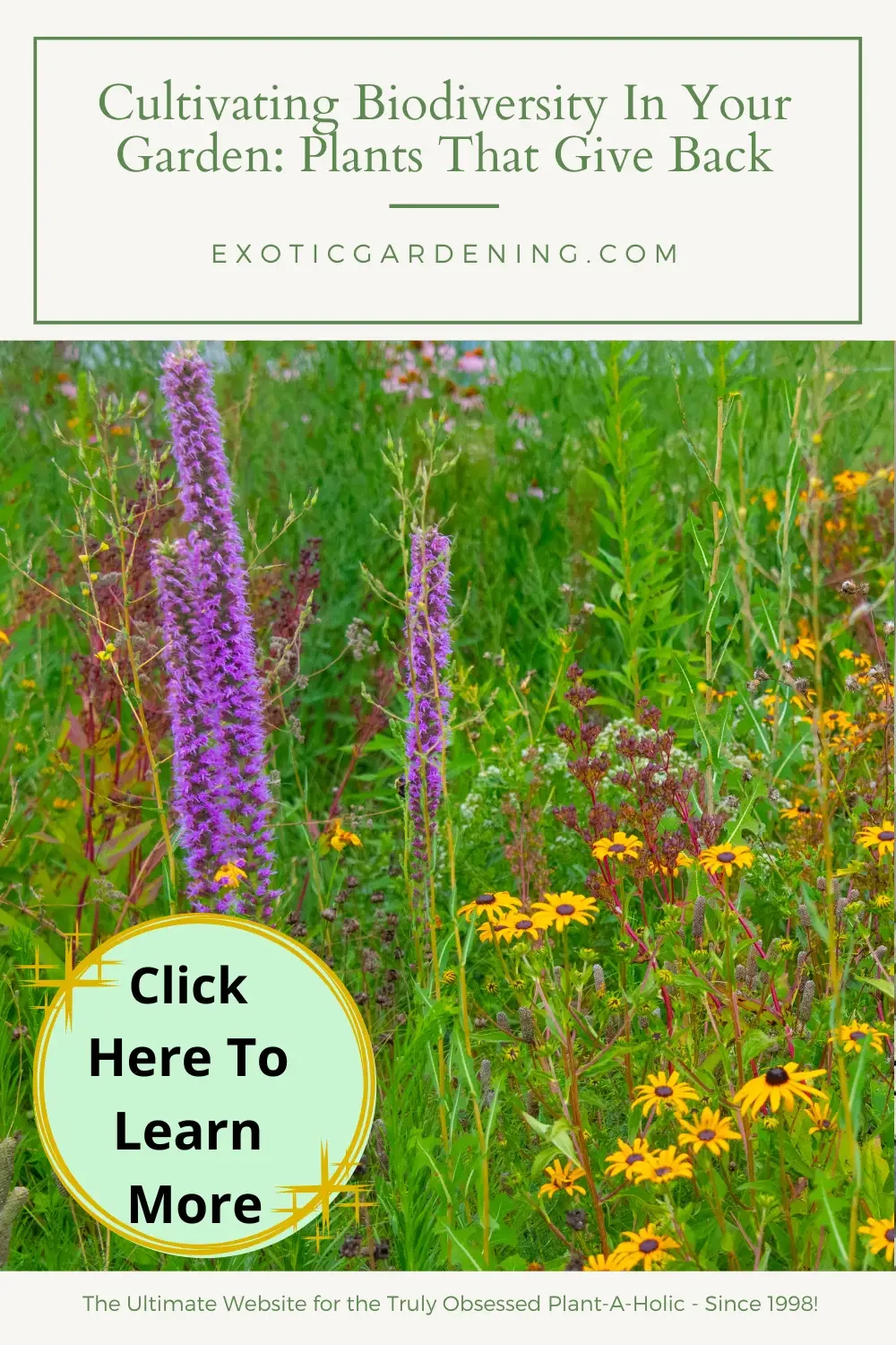 Cultivating Biodiversity In Your Garden: Plants That Give Back - Exotic ...