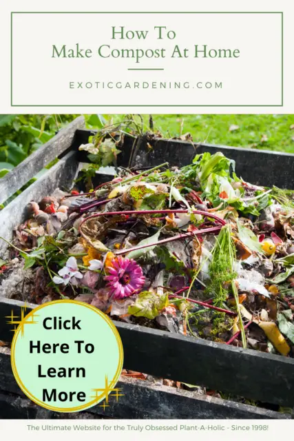 How To Make Compost At Home - Exotic Gardening