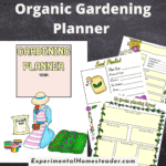 Describing The Garden - Exotic Gardening