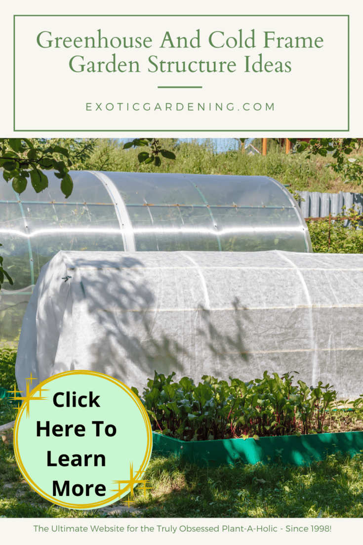 Greenhouse And Cold Frame Garden Structure Ideas - Exotic Gardening