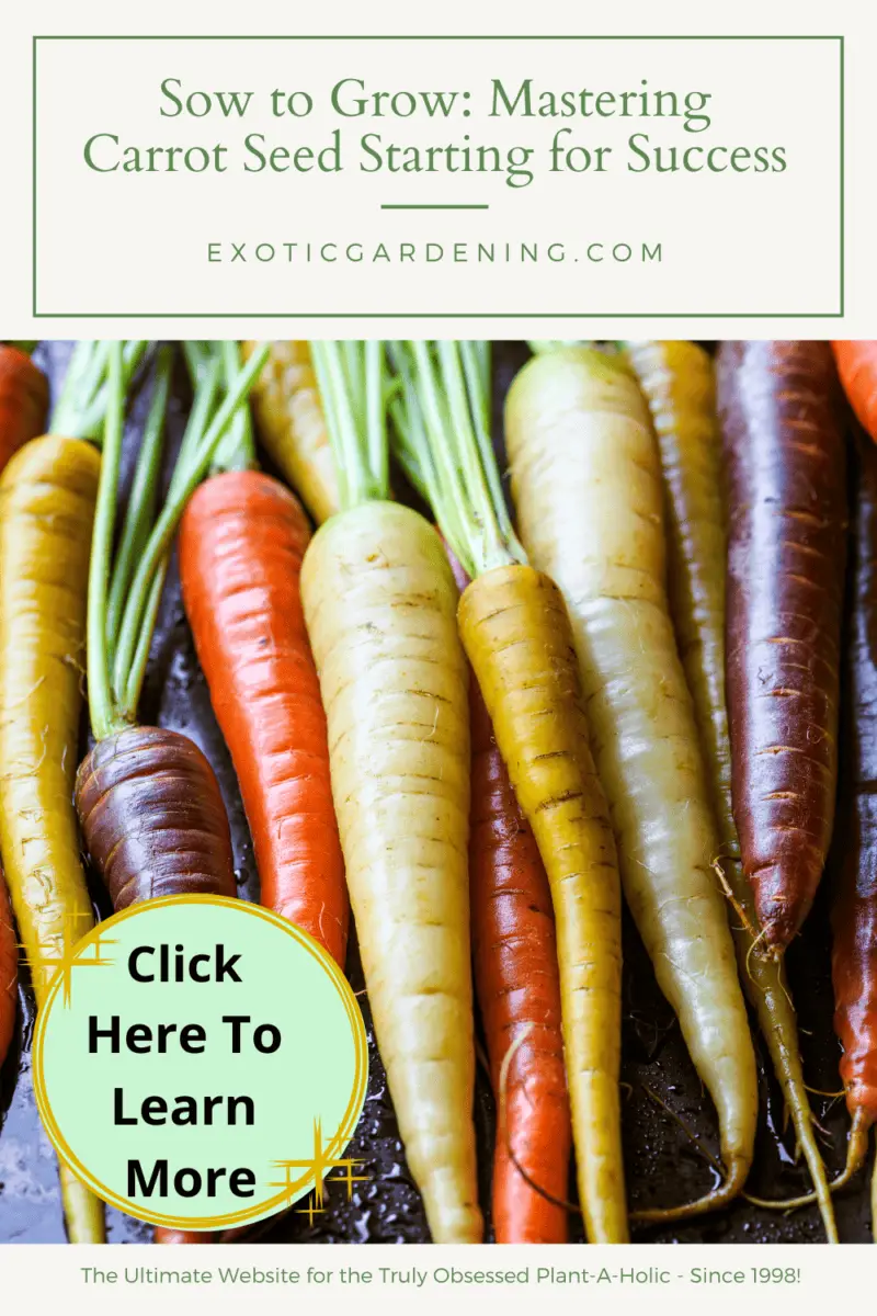 Sow to Grow: Mastering Carrot Seed Starting for Success - Exotic Gardening