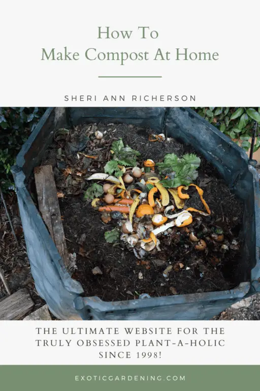 How To Make Compost At Home - Exotic Gardening