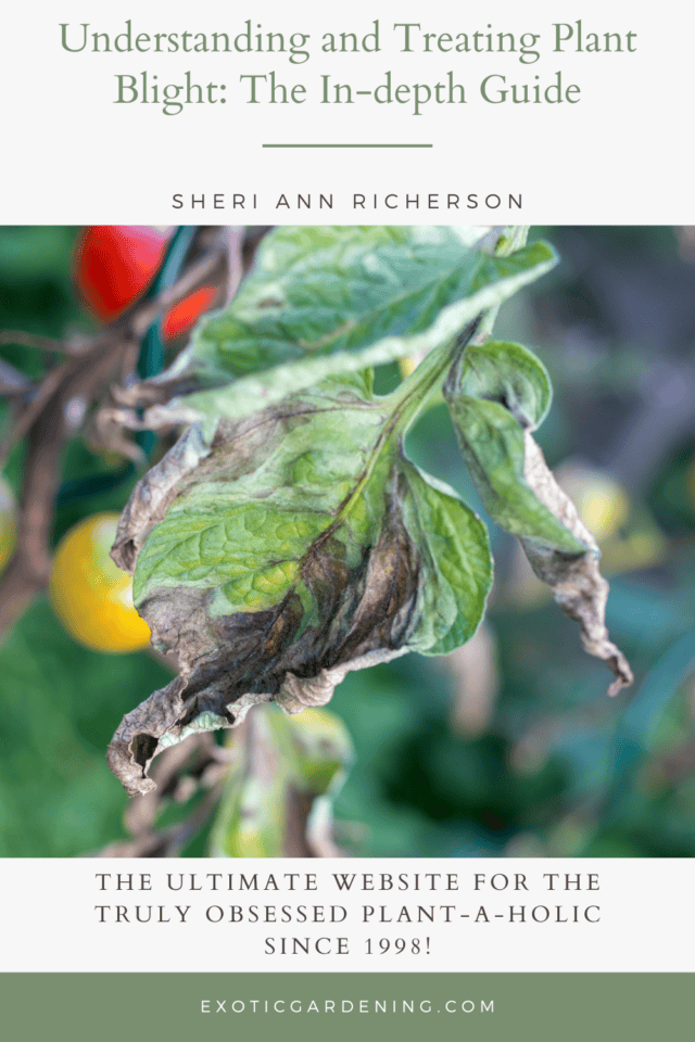 Understanding and Treating Plant Blight: The In-depth Guide - Exotic ...