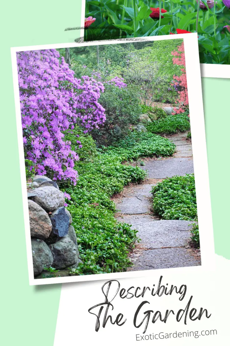 Describing The Garden - Exotic Gardening