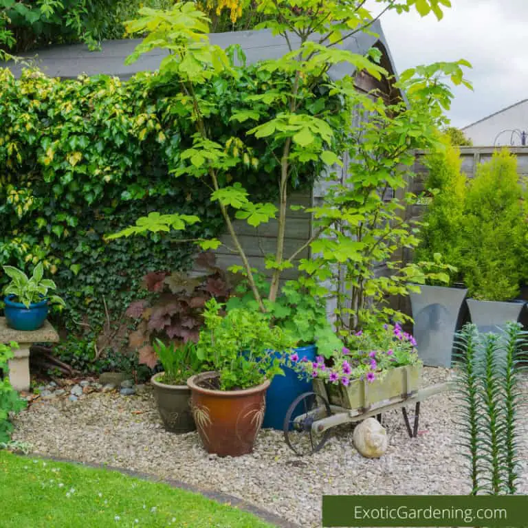 Container Landscaping Ideas - How To Make Your Yard And Garden Look ...