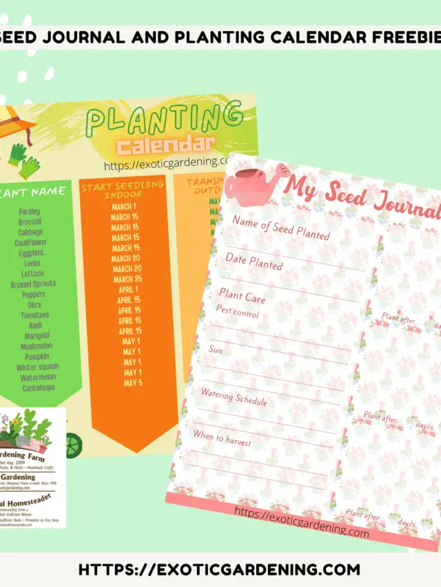 Seed Journal And Planting Calendar Freebie Square Mockup - Exotic Gardening