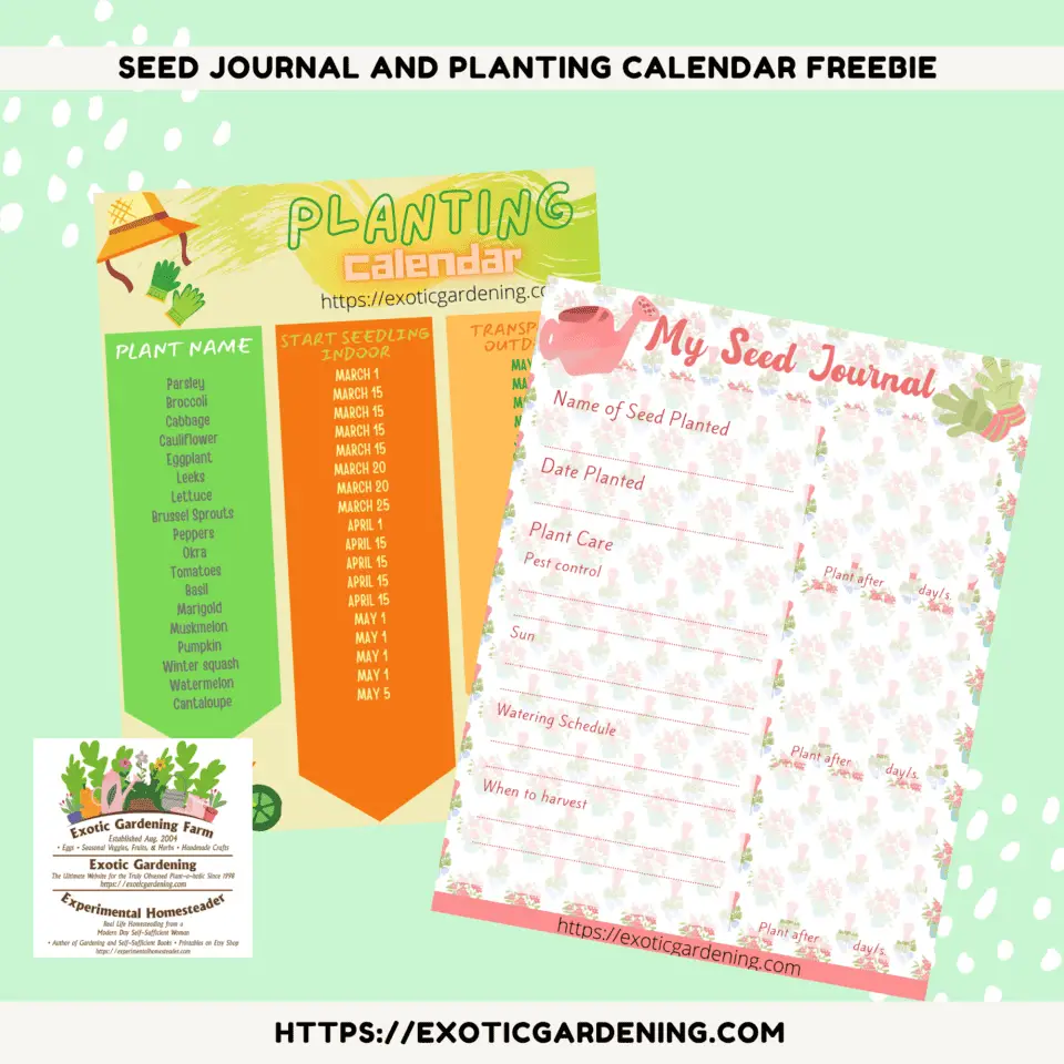 Seed Journal And Planting Calendar Freebie Square Mockup - Exotic Gardening