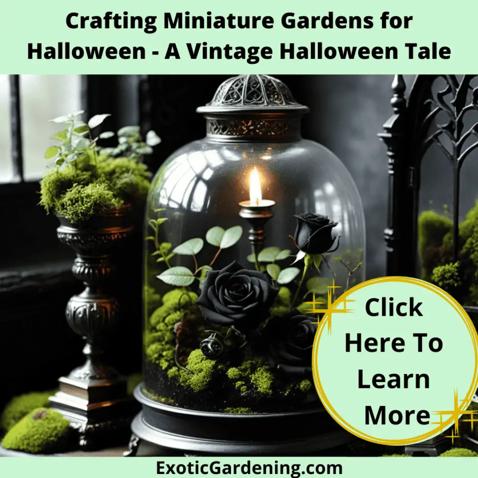 Halloween Horticulture: Plants with Magical Properties for Halloween ...