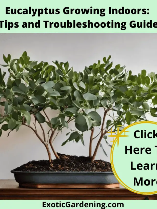 Exotic Gardening - The Ultimate Website for the Truly Obsessed Plant-A ...