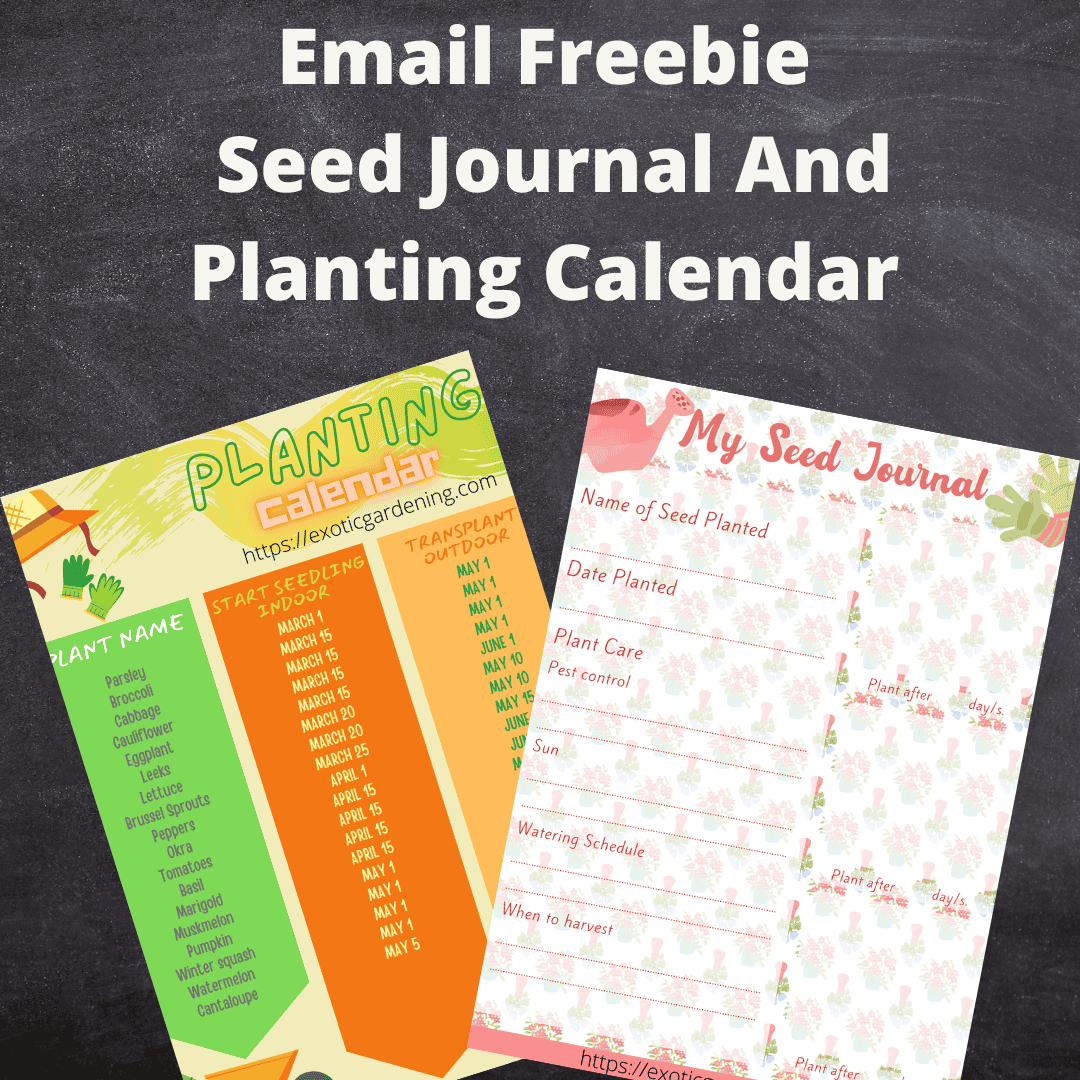 Email Freebie - Exotic Gardening