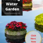 Floating Water Garden - Exotic Gardening