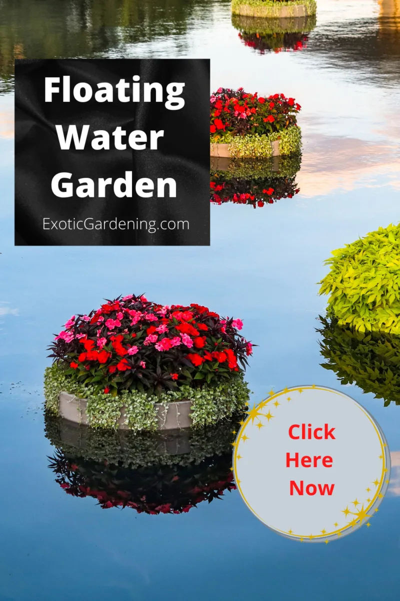Floating Water Garden - Exotic Gardening