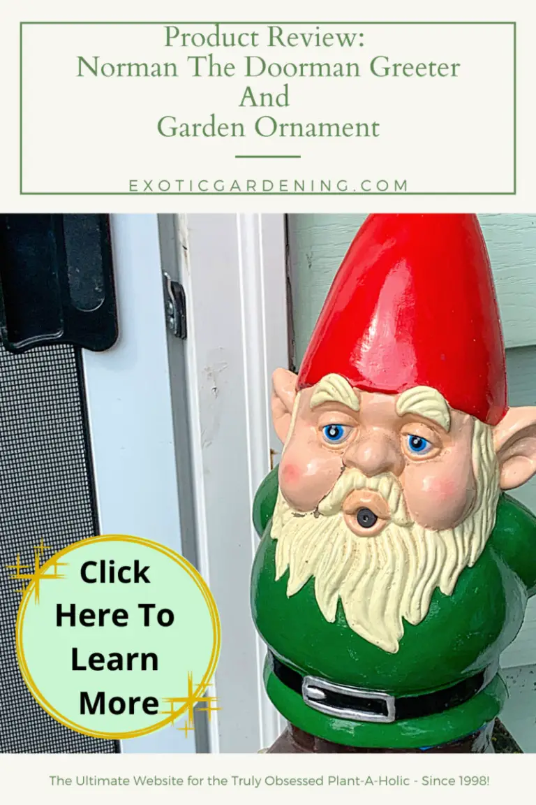 Product Review: Norman The Doorman Greeter And Garden Ornament - Exotic ...