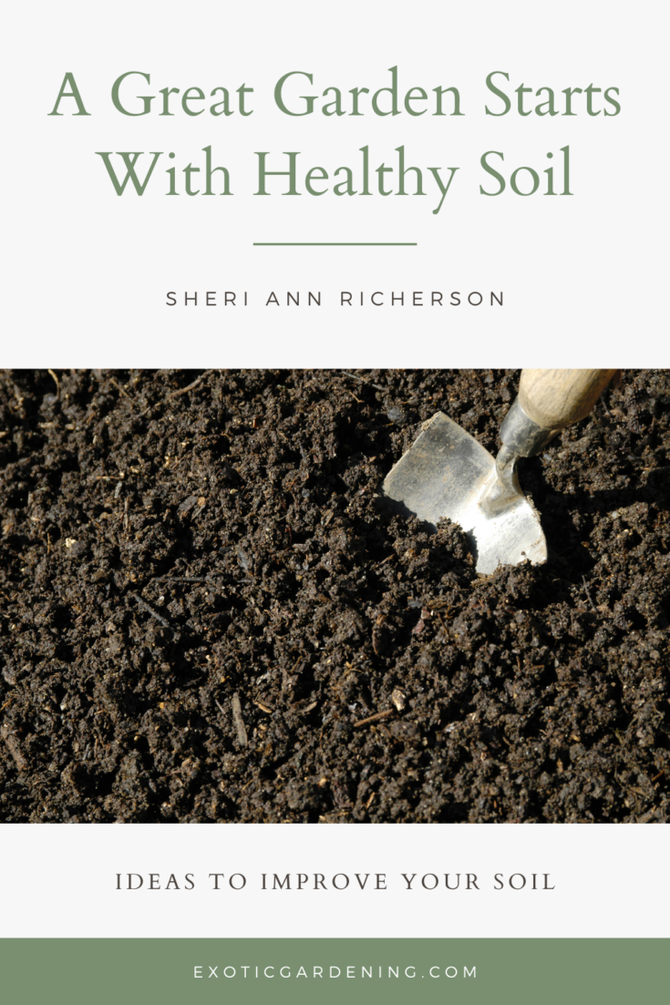 A Great Garden Starts With Healthy Soil - Exotic Gardening