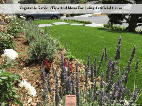 Vegetable Garden Tips And Ideas For Using Artificial Grass - Exotic ...