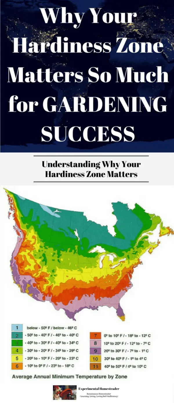 Understanding Why Your Hardiness Zone Matters - Exotic Gardening